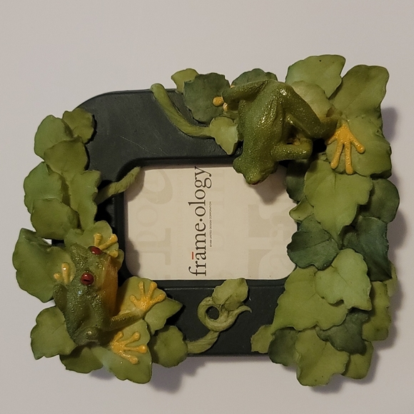 frame-ology | Other | Frameology 3d Frog Frame | Poshmark